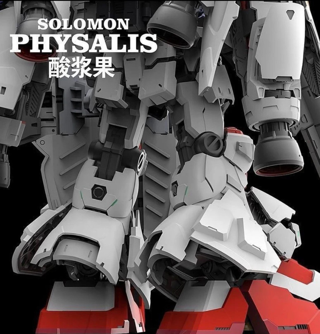 Solomon MG 1/100 酸漿果GP02 高達拼裝模型 | 蝦皮購物