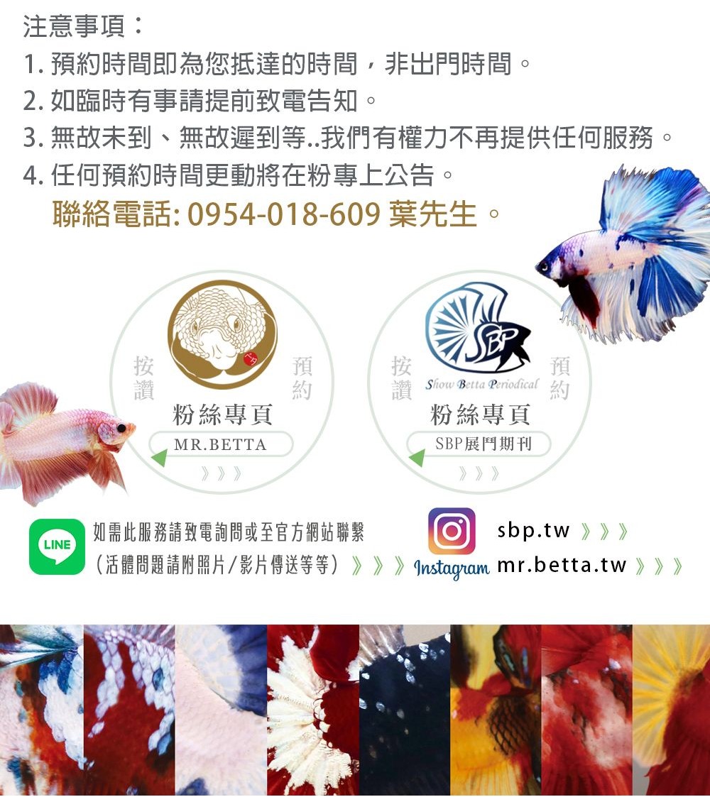 沉木 B5 - 171g 【SBP展鬥期刊】禪意 沉木 雷龍 原鬥 短雕 造景 爬蟲 昆蟲 繁殖 躲避 | 蝦皮購物