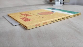 媽咪,走開!_琳.喬娜(Lynne Jonell)文; 派翠.麥瑟爾斯(Petra Mathers)圖; 柯倩華譯【T1／少年童書_KT9 ...