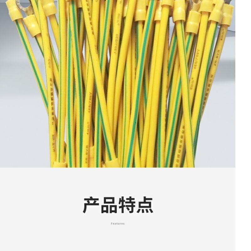 【樂泰商行】滿99出貨 黃綠接地線軟銅線 BVR2.5/4/6平方橋架 機房設備門窗光伏板連跨接線 | 蝦皮購物