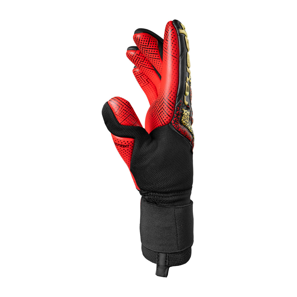 德國REUSCH守門員手套 - 2025 Attrakt Gold X GluePrint 5570974 | 蝦皮購物