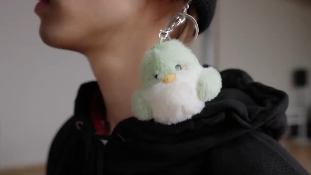 Kpop GOT7 Bird 嬰兒毛絨包鑰匙扣公仔挂件偶像周邊 | 蝦皮購物
