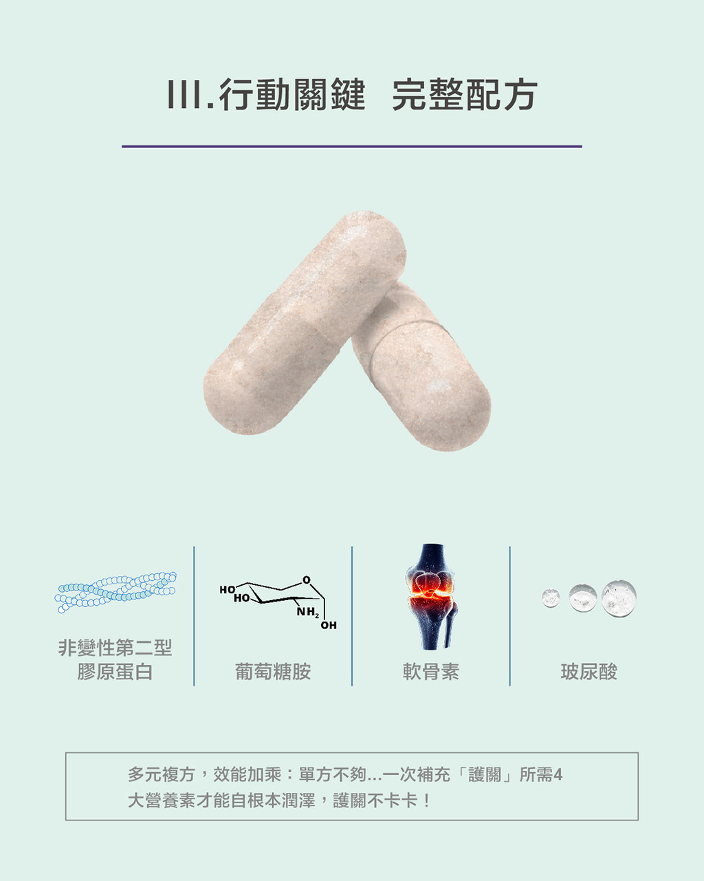 UC-II+葡萄糖胺 30粒/瓶 日本大廠原料 玻尿酸 軟骨素 膠原蛋白 【naturgy 我的黃金比例】 | 蝦皮購物