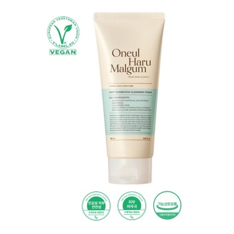 Oneul Haru Malgum Mint 康普茶潔面泡沫 150 毫升 | 蝦皮購物