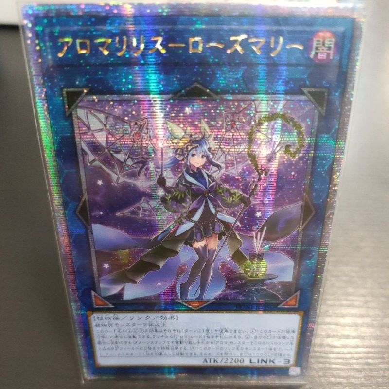 TT* 99分 遊戲王 PHNI-JP050 芳香魔女 迷迭香 (金鑽)#綜 | 蝦皮購物