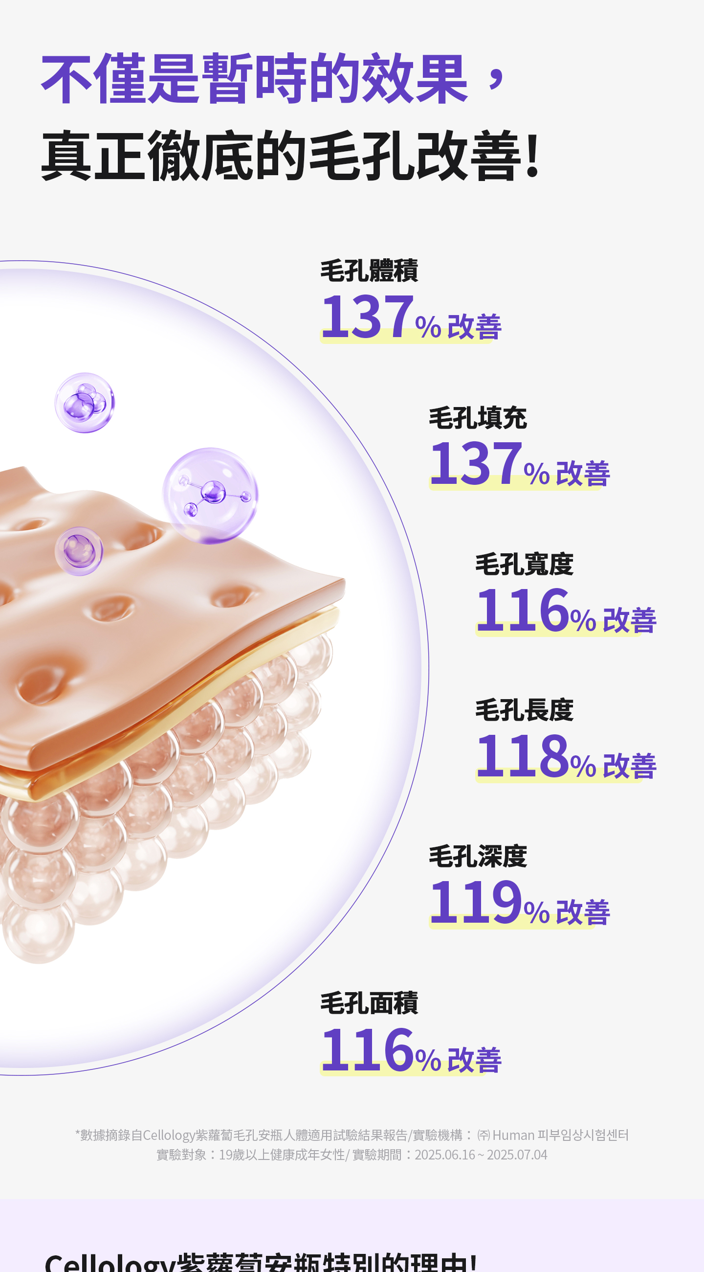 【Cellology】紫蘿蔔毛孔柔焦安瓶 30ml | 蝦皮購物