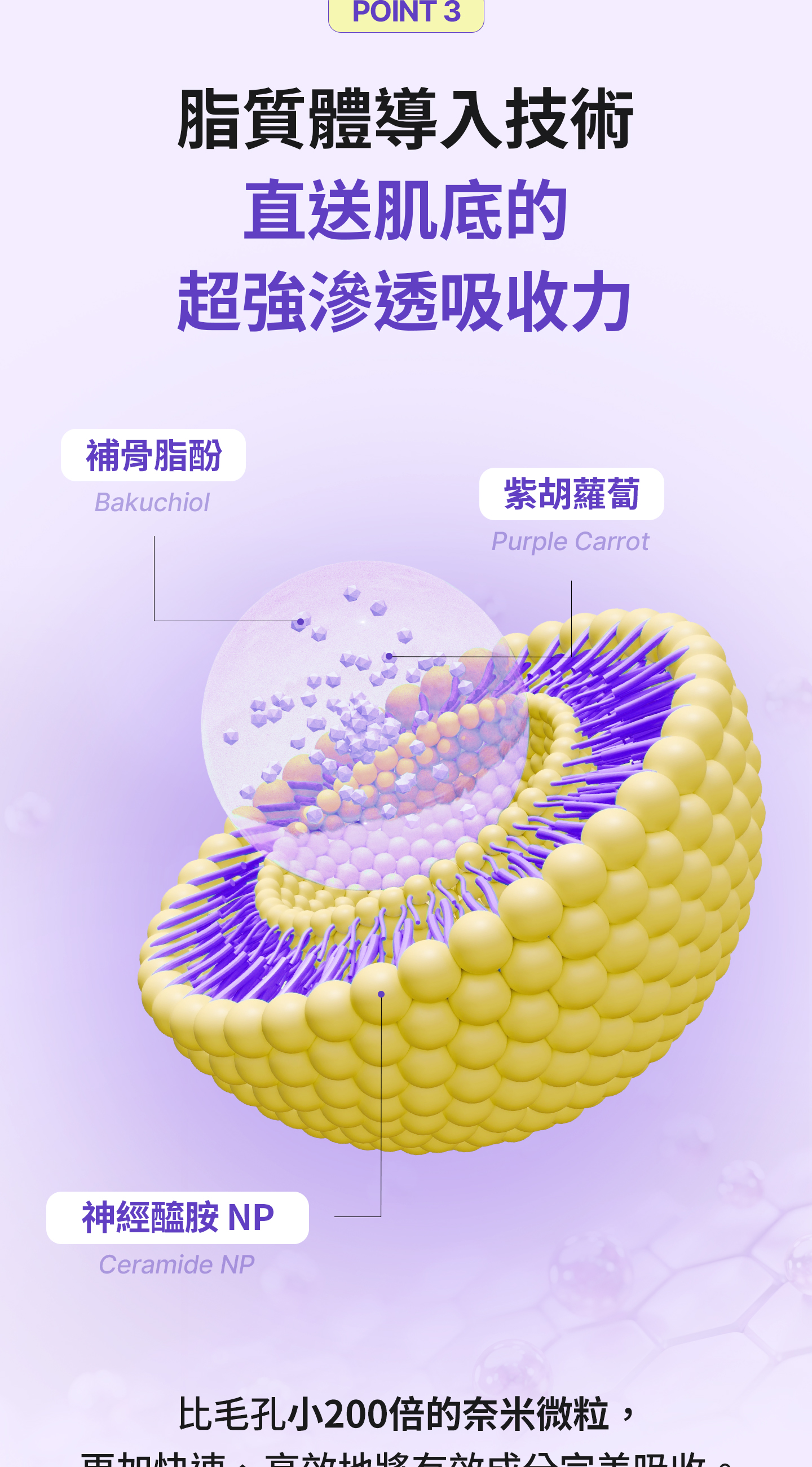 【Cellology】紫蘿蔔毛孔柔焦安瓶 30ml | 蝦皮購物