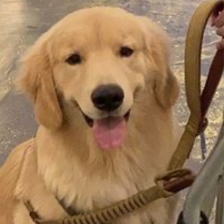 Office 365 官方正版序號 金鑰 ️正版授權 ️word ptt excel | 蝦皮購物