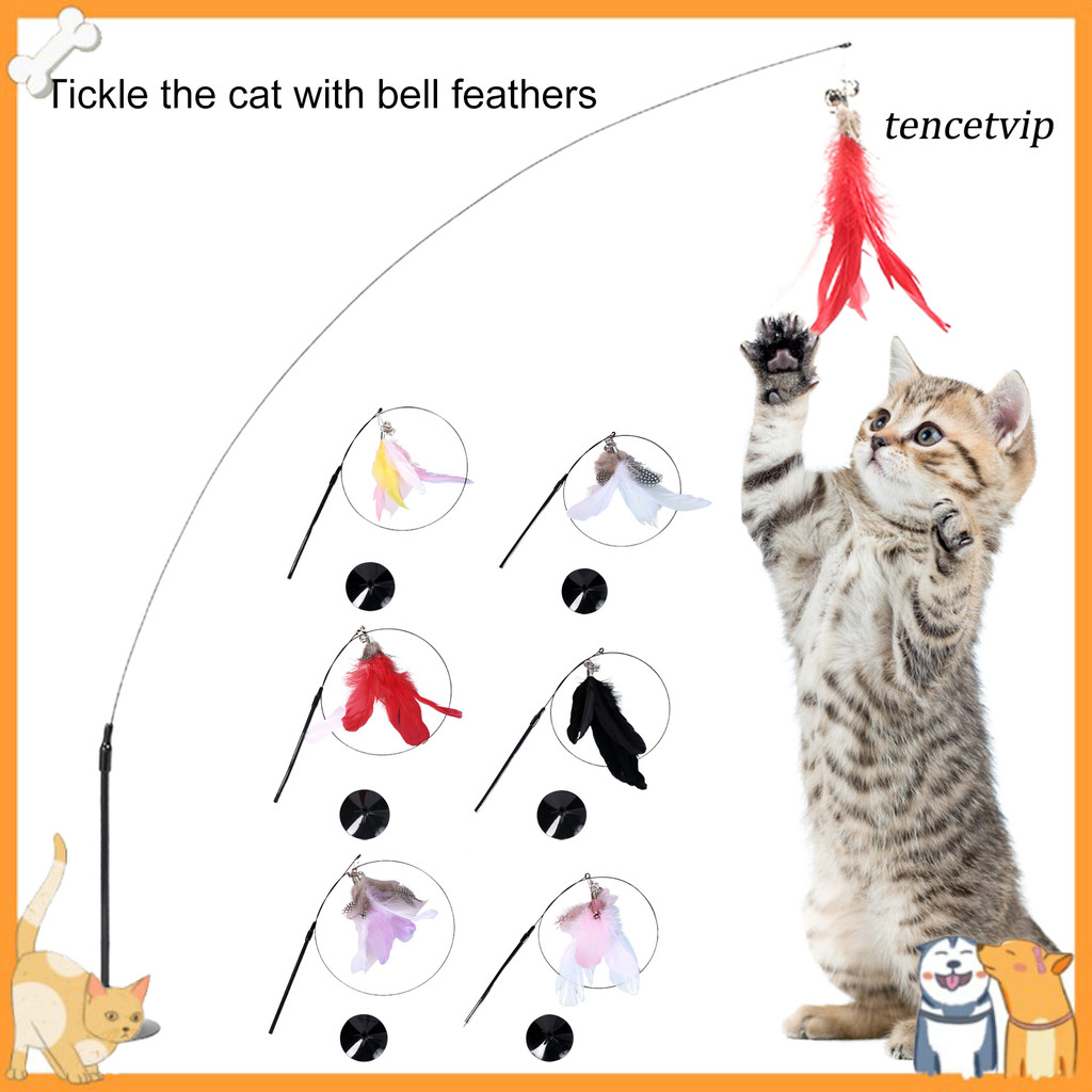 【VIP】Cat Teaser Toy 有吸引力的高回彈寵物小貓挑逗棒互動玩具日常使用 | 蝦皮購物