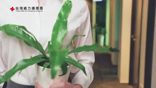 TWelly 台灣威力 3鍵紅外線遙控器 AC循環扇適用 | 蝦皮購物