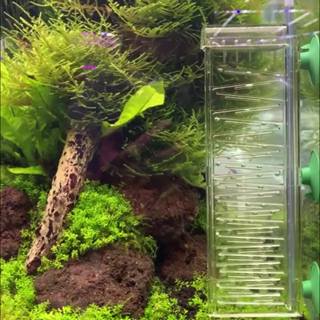 青森水族 德國 丹尼爾 DENNERLE 階梯擴散器 CO2 Flipper 【Nano、Micro、Mini、L】 | 蝦皮購物