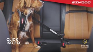 澳洲 EZYDOG ISOFIX寵物車用安全帶 長版/標準版 寵物安全帶 固定毛孩 汽車安全帶材質 固定愛犬活動空間 | 蝦皮購物