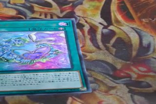 卡片屋 遊戲王 金亮 花樣明星 魔法花冠 LVB1-JP007 | 蝦皮購物