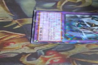 卡片屋 遊戲王 普鑽 龍騎士黑魔導 24TP-JP205 | 蝦皮購物