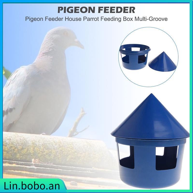 Pigeon Feeder Pigeon Food Container House Design Food Dispen | 蝦皮購物