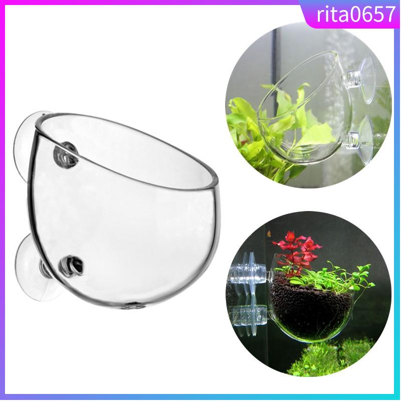 Glass Aquarium Water Plant Potted Cylinder Cup Fish Tank Gra | 蝦皮購物