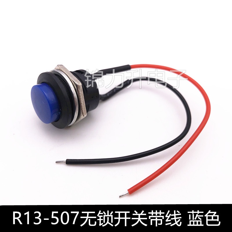 -linchaijen-R13-507開關帶線 16MM點動按鈕圓形無鎖自復位圓型按通按鍵開關工坊直營 | 蝦皮購物
