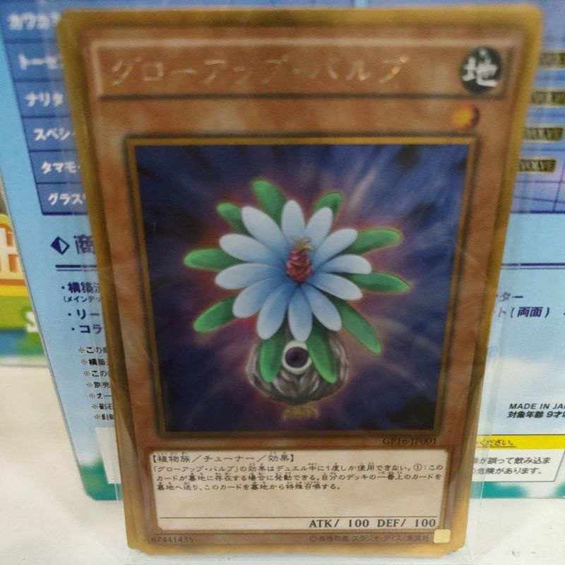 TT 全新 遊戲王 GP16-JP001 成長球莖 (黃金金亮) | 蝦皮購物