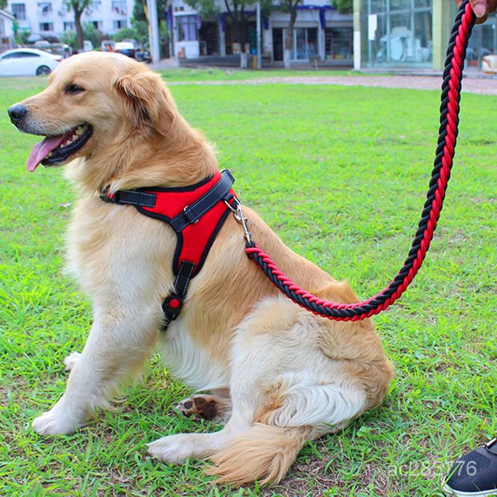 【優選好物】金毛狗鏈子胸背帶狗狗牽引繩大型犬牽狗繩子中型犬拉佈拉多拴狗繩jioyh NEZI | 蝦皮購物
