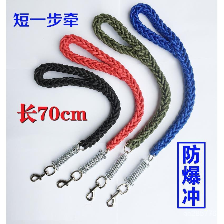 【優選好物】一步牽遛狗繩子防爆衝短牽引繩帶中型犬大型犬金毛阿拉斯加狗鏈子jioyh LZTA | 蝦皮購物