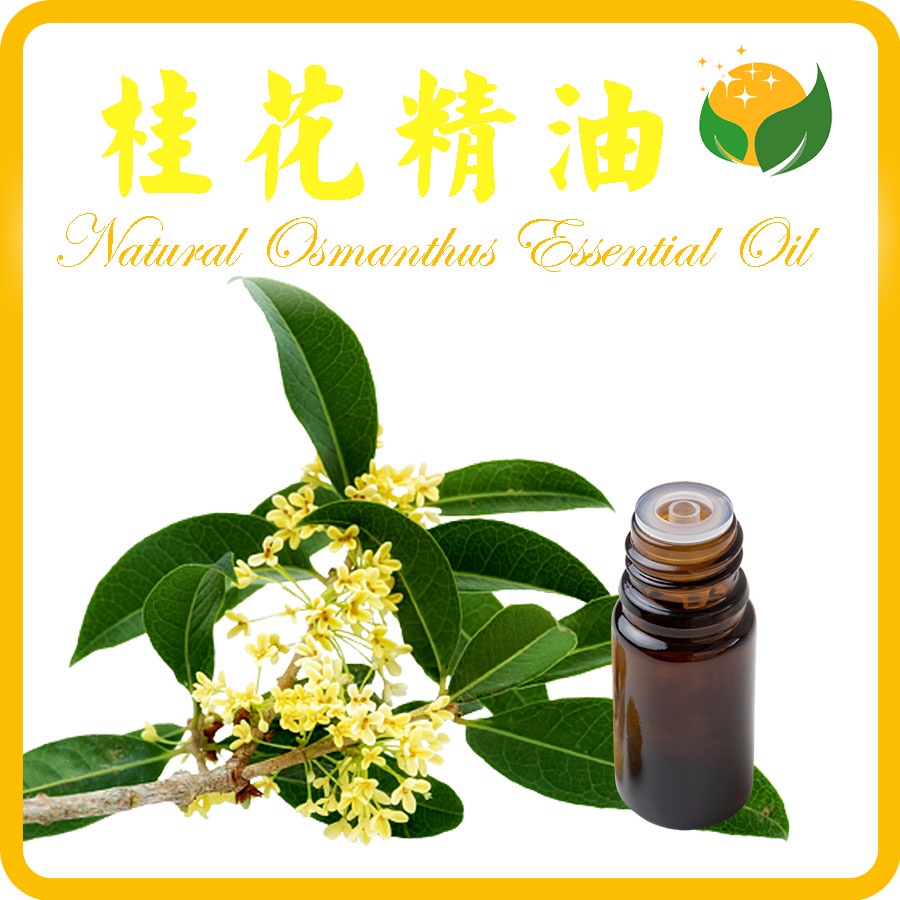 頂級桂花精油 天然單方精油 正植物精油 Natural Osmanthus Essential Oil | 蝦皮購物