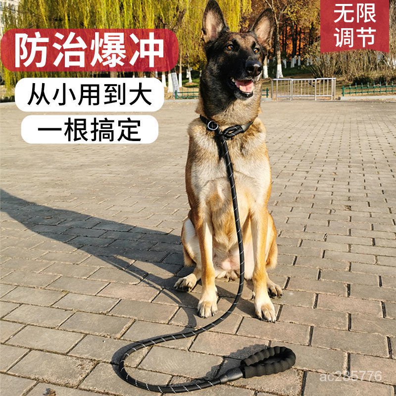 【優選好物】狗狗牽引繩狗鏈子中大型犬金毛馬犬訓犬P鏈訓狗遛狗繩子栓狗繩jioyh VQWY | 蝦皮購物