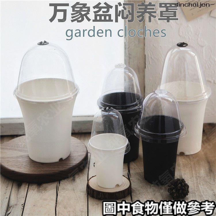 -linchaijen-【5個】育苗透明罩 萬象盆多肉 塑膠 圓形花盆悶養罩保溼玉露十二卷蓋子保溫播種扦插 | 蝦皮購物