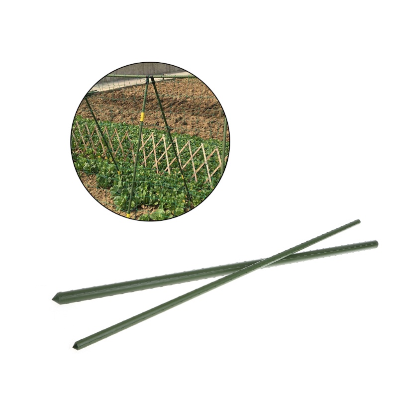 60cm Garden Plant Support Stakes Climbing Stand Flower Stick | 蝦皮購物