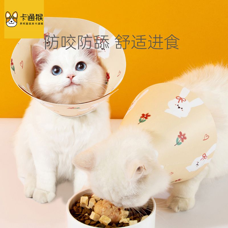台灣出貨 貓咪伊麗莎白圈狗狗項圈防舔咬頸脖圈絕育伊利莎白寵物恥辱圈用品 蝦皮購物 