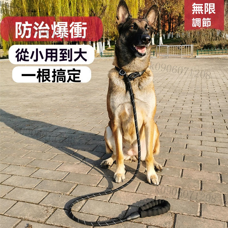 狗狗牽引繩 寵物牽繩 狗鏈子 中 大 型犬 金毛 拉布拉多 馬犬 訓犬P鏈 訓狗 遛狗繩子 栓狗繩jioyh VQWY | 蝦皮購物