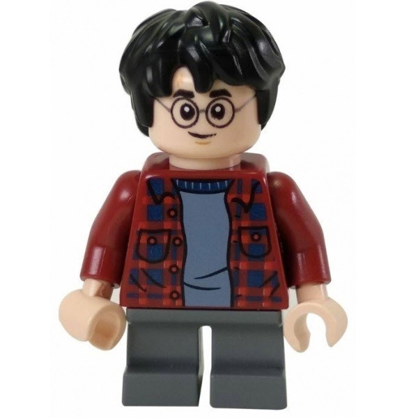 LEGO人偶 HP143 哈利波特系列 Harry Potter (75953)【必買站】 樂高人偶 | 蝦皮購物