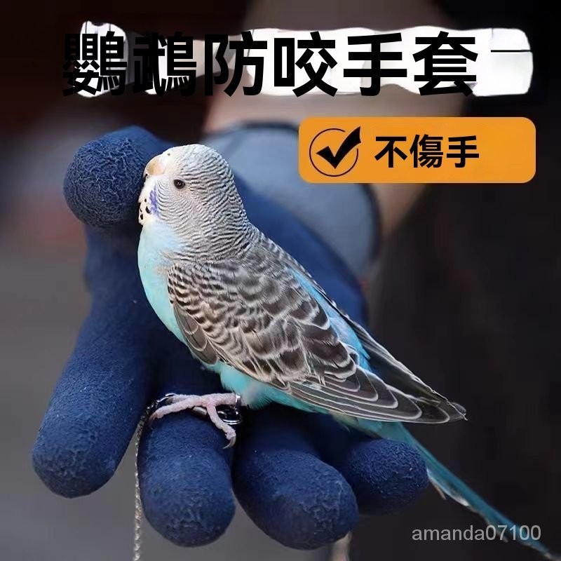 【訓練寵物神器】爬蟲防咬手套 雙層牛皮手套 鸚鵡防咬手套 防咬手套 防咬防抓手套 安全手套 牛皮防咬手套 訓狗手套 | 蝦皮購物