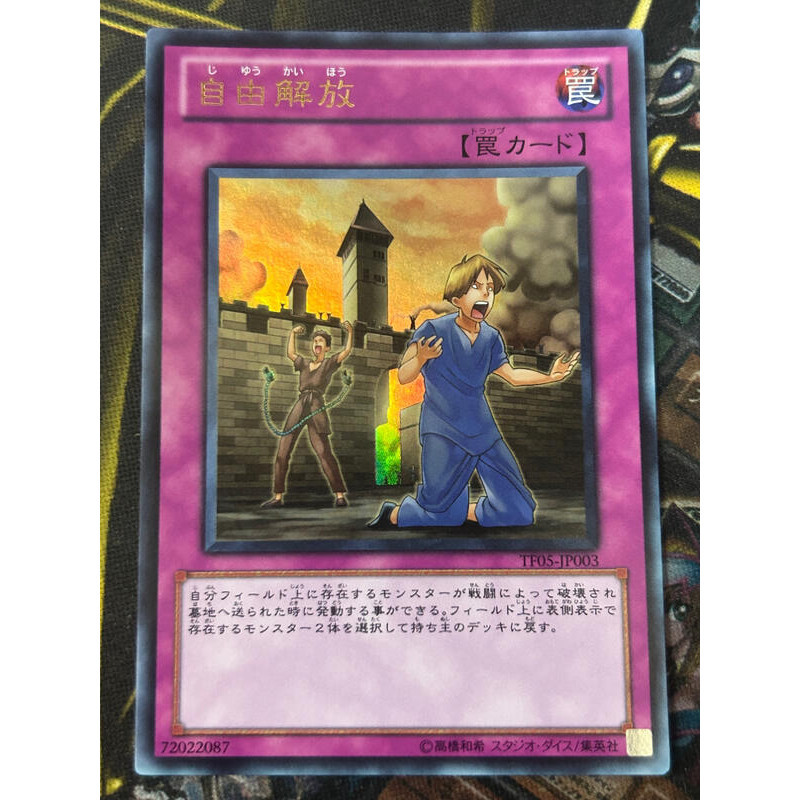 有點名 TF05-JP003 自由解放 金亮 | 蝦皮購物