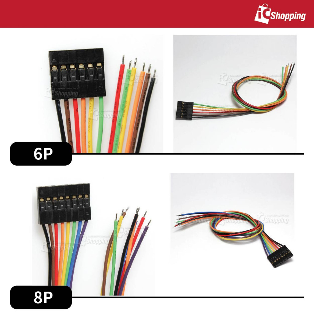 iCShop【1入】單頭杜邦線 母座 2p 3p 4p 5p 6p 8p 30cm 連接線 測試線 實驗線 | 蝦皮購物