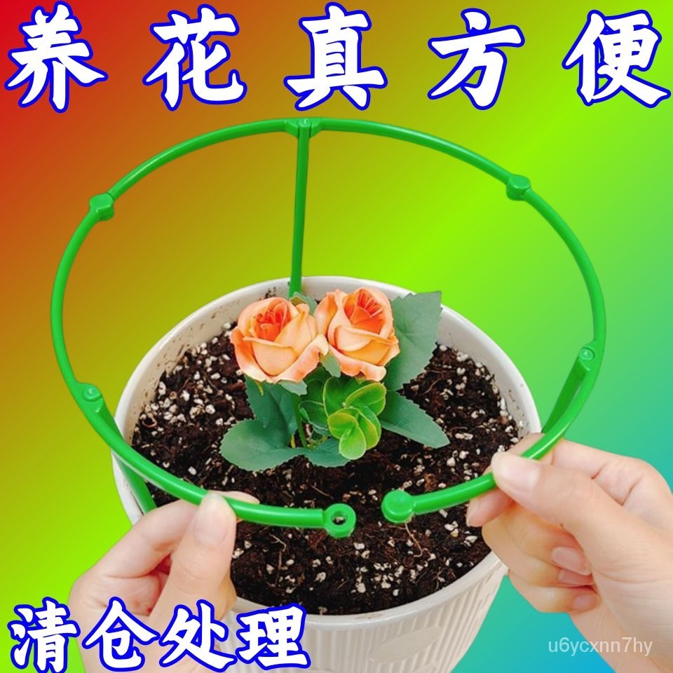 🔥臺灣出貨24H🔥花架子室內傢用花架拚接園藝蘭花蓮花花架子支撐桿內傢用爬藤架hhfoof | 蝦皮購物