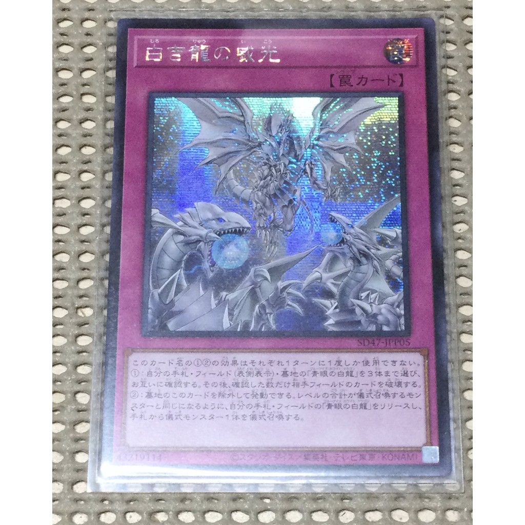[ 隨緣遊戲王卡 ] SD47-JPP05 白之龍的威光 ( 韓紙半鑽 ) | 蝦皮購物