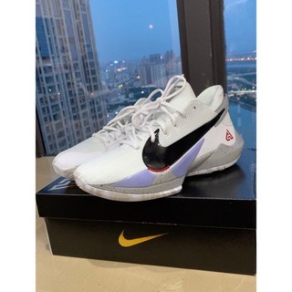 Nike Zoom Freak 2 白灰 字母哥 籃球鞋 耐磨底 CK5825-100 | 蝦皮購物