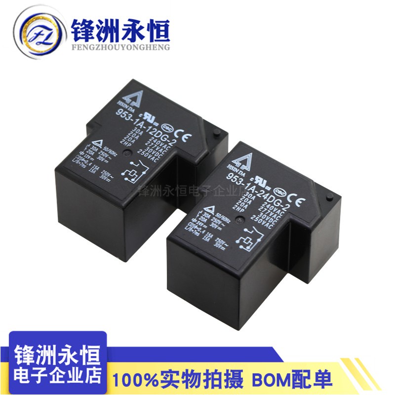 附發票 原裝 953-1A-12DG/24DG-2 30A 功率繼電器 5腳 全新原裝正品 | 蝦皮購物
