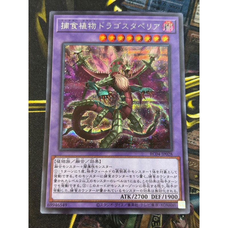 有點名 RC04-JP028 捕食植物 犀角龍 半鑽 | 蝦皮購物