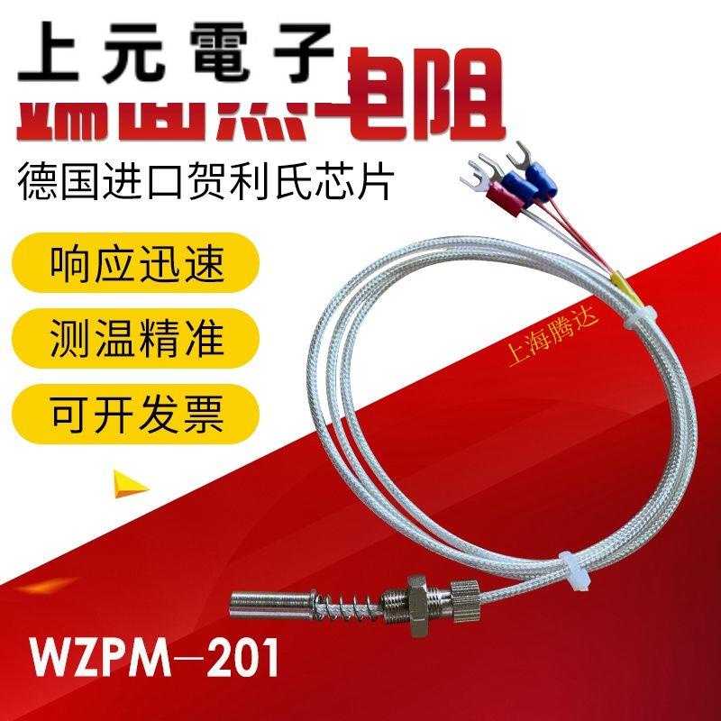 端面熱電阻WZPM-201軸瓦測溫探頭pt100溫度傳感器螺紋熱電阻軸承 | 蝦皮購物