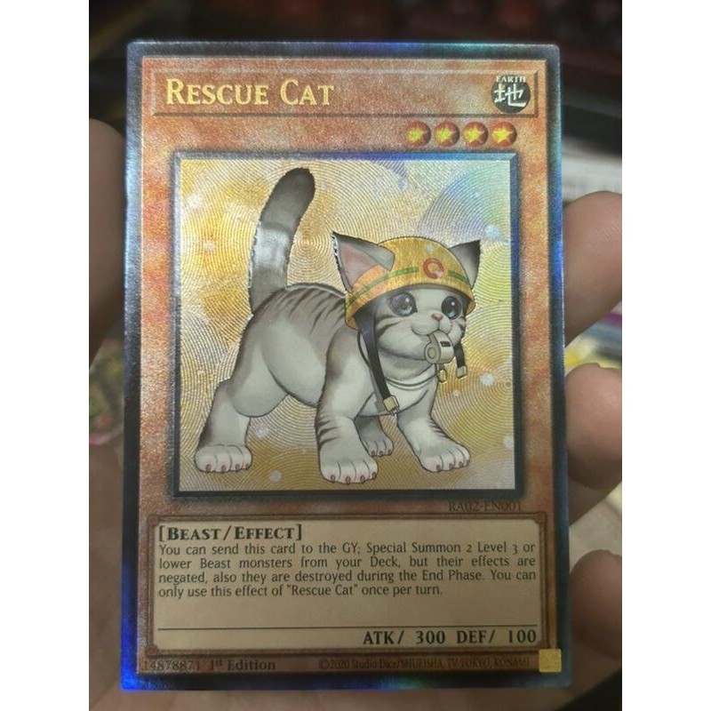 有點名 遊戲王 美英一刷 RA02-EN001 救援貓 異圖 浮雕 搜FET-JP033 | 蝦皮購物
