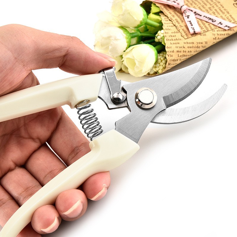 Grafting Tool Gardening Pruning Shear Scissor Stainlesssteel | 蝦皮購物