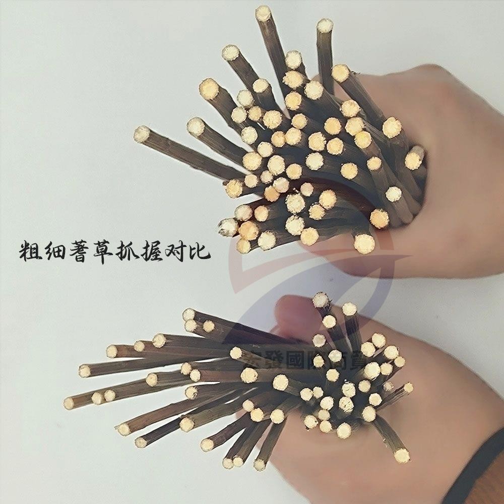 HFGJ 易經文化用品蓍草籌策粗0.3厘米50支送5支備用輕松抓握大衍筮法 | 蝦皮購物