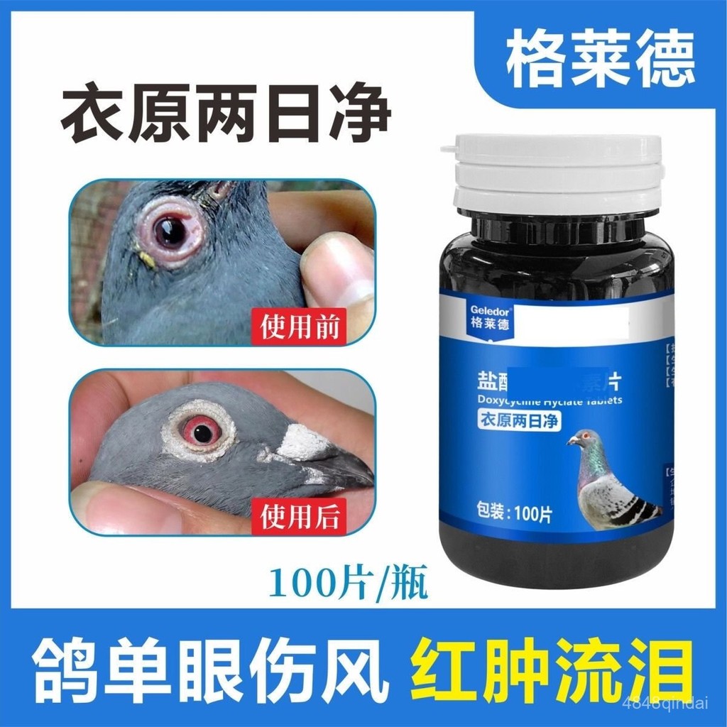 妙手迴春 格萊德 衣原兩日凈 100片 賽鴿 單眼傷風 眼睛流淚 感冒 信鴿用品 豪鴿 賽鴿 八哥 鳥類 XCCH | 蝦皮購物