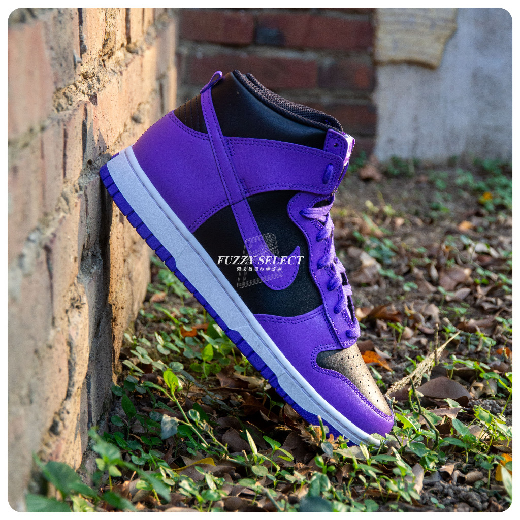 Nike Dunk High Retro BTTYS TCU 紫 黑 高筒 DV0829-500 | 蝦皮購物