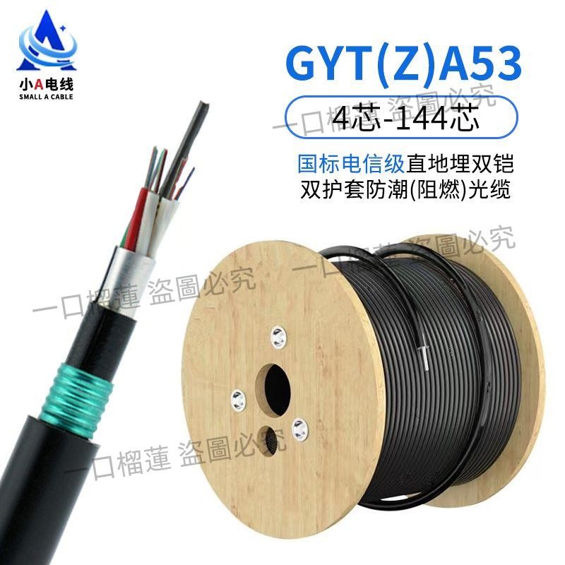 GYTA53防鼠重鎧地埋阻燃光纜GYTZA53室外單模光纖8/12/24/48/芯?一口榴蓮?優選 | 蝦皮購物