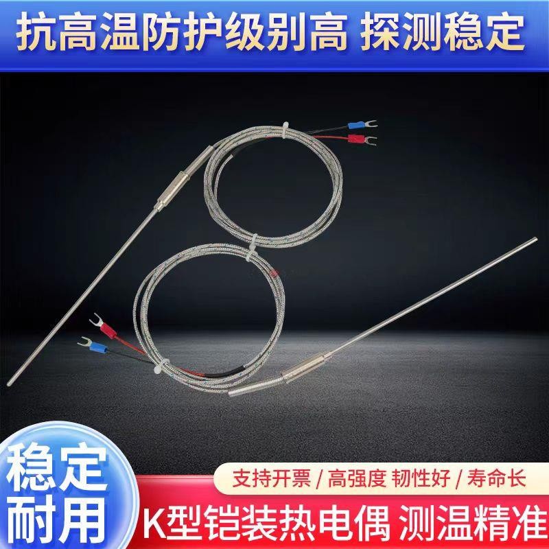 K型鎧裝熱電偶WRNK-191可彎曲探頭式 溫度傳感器 Pt100/E/J/T電熱偶 K型鎧裝熱電偶嘉泽 優選 | 蝦皮購物