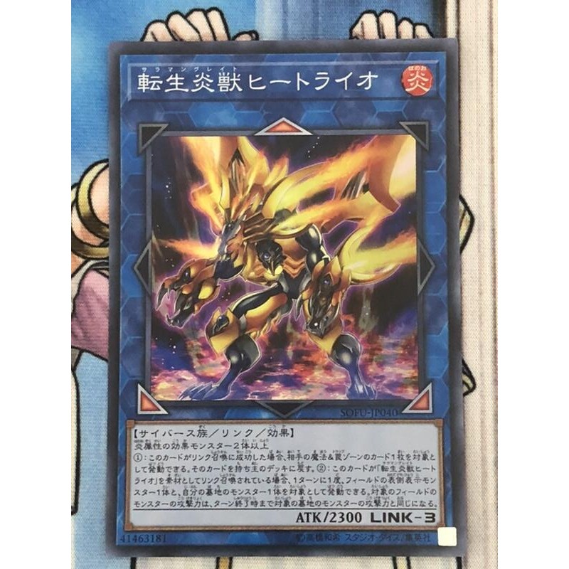 有點名 遊戲王 日紙 SOFU-JP040 轉生炎獸 灼熱獅子 亮面 | 蝦皮購物