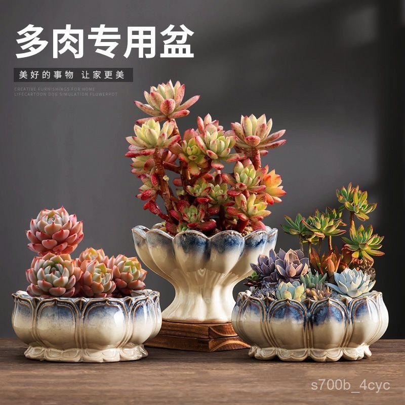 創意流釉多花盆簡約大口徑拚盤陶瓷家用陽臺桌麵透氣老樁綠植盆 LPPU | 蝦皮購物