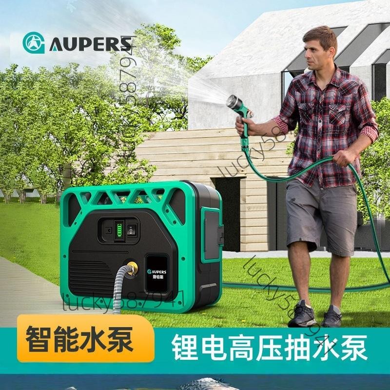 *可開票*充電式抽水泵水槍澆菜神器澆水機農用灌溉家用澆地農村菜地【詢運費】5206 | 蝦皮購物